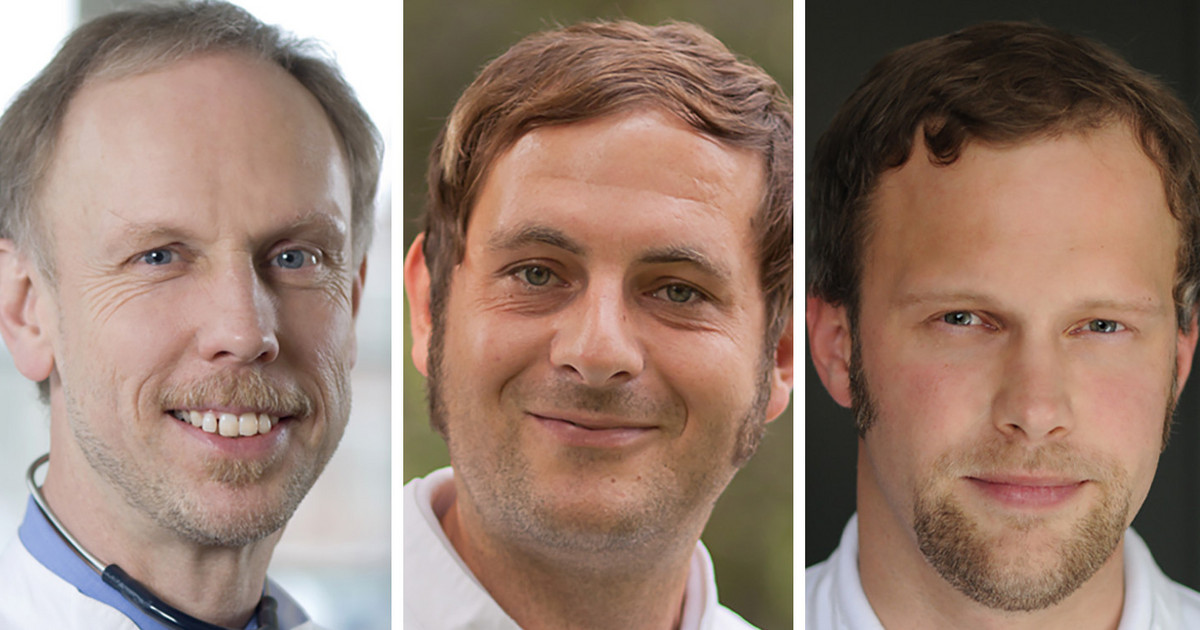 Drei Ärzte des Immanuel Krankenhaus Berlin als Top-Mediziner ...